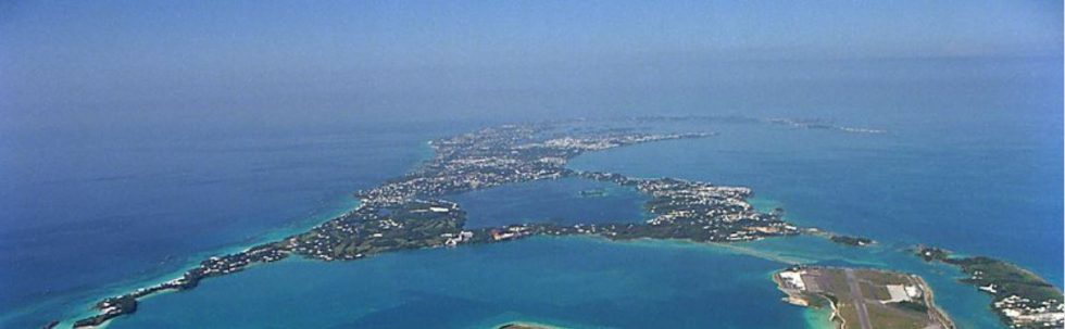 BEE-LINE TRANSPORT (BERMUDA) LTD. | Bermuda's premier transportation ...